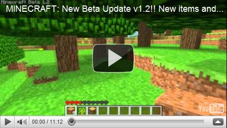 Minecraft Perception